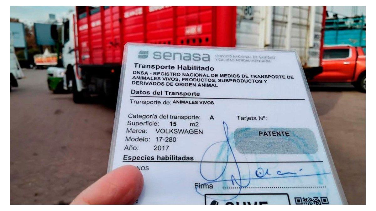 Senasa updates demands in the transport of living animals – Archyde